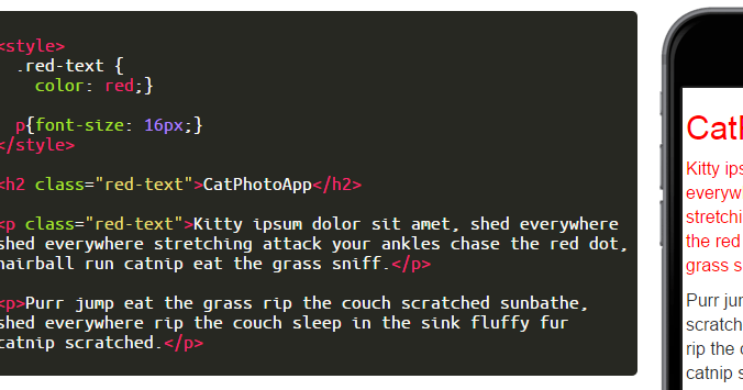Belajar Membuat Web dengan Freecodecamp (Bagian 2- HTML5 & CSS)