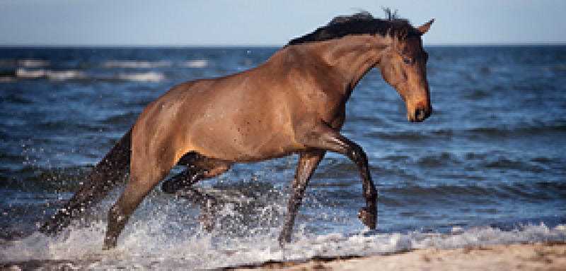 Historia y evolución de la pintura artística : Espectaculares Imágenes ...