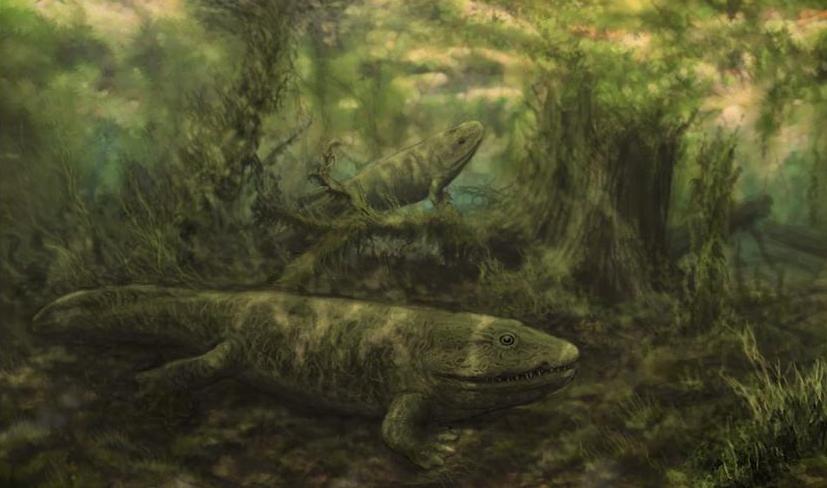 Blog de la Vida Prehistórica: Ichthyostega