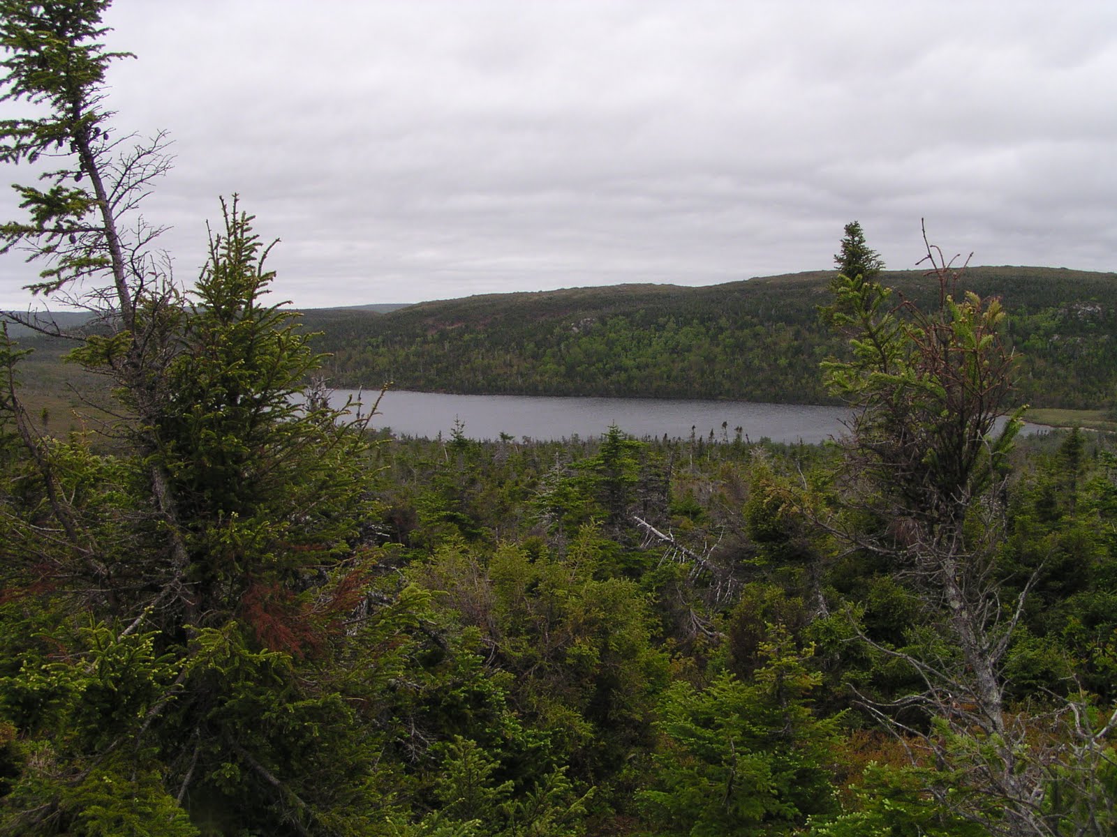 Travel with Kevin and Ruth: Branch Pond Look-off Trail