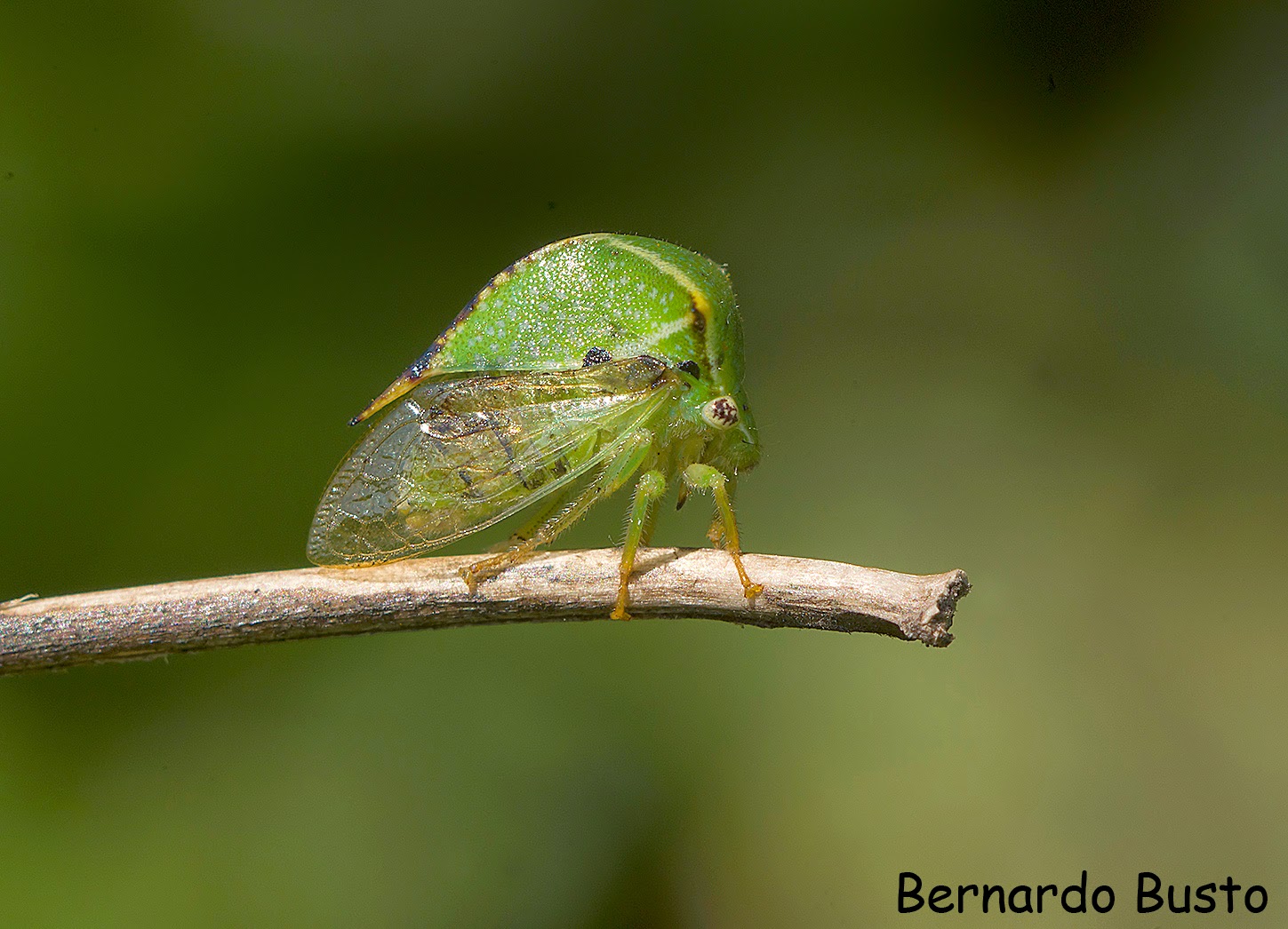 RÍA DE LA VILLA: agosto 2014