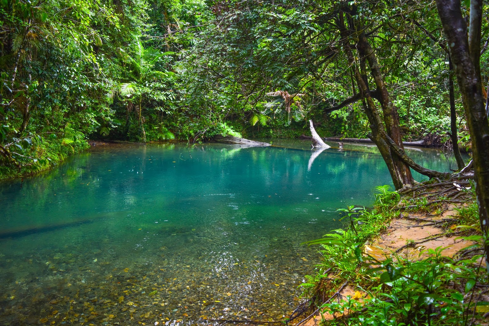 To Catch Sight Of.: Alexandra Falls & Blue Hole