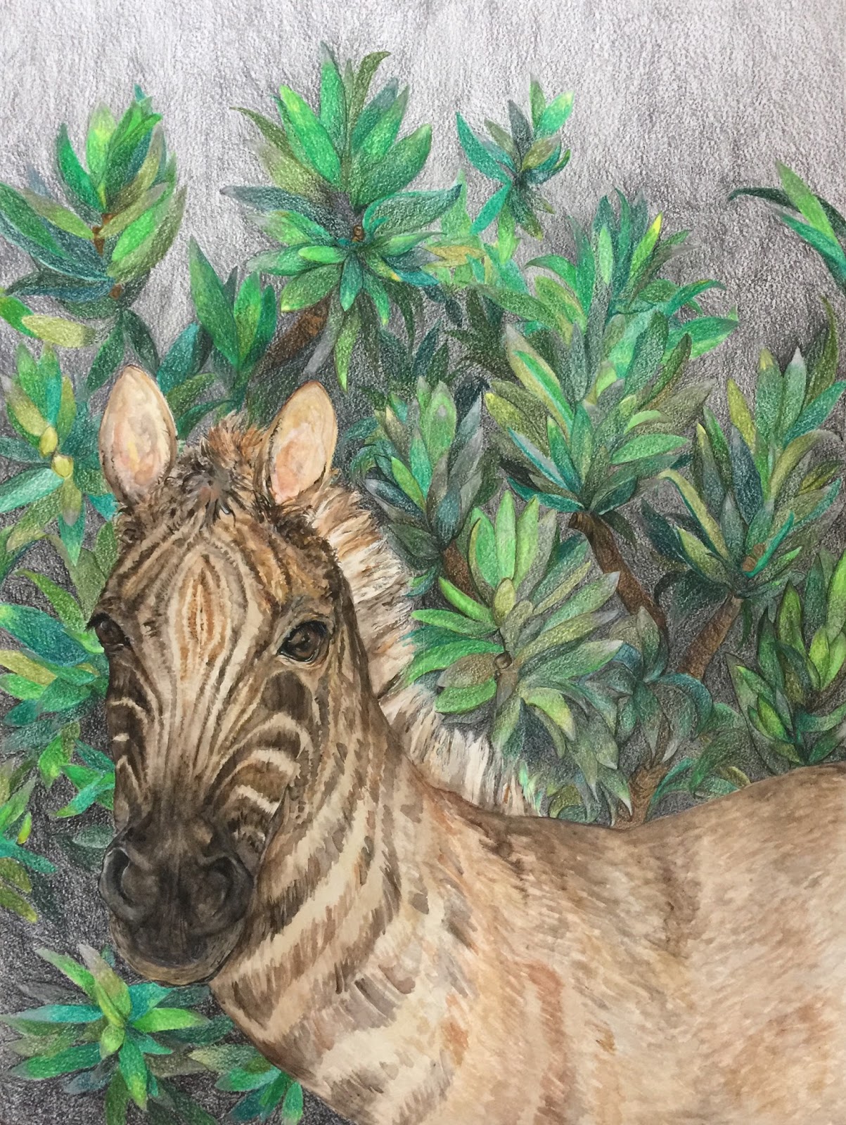 Tamara Coleman: PAINTINGS/DRAWINGS