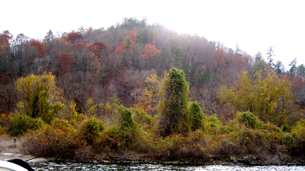 Gary's Outdoor Wanderings2: SCONA LODGE - A Lost Treasure