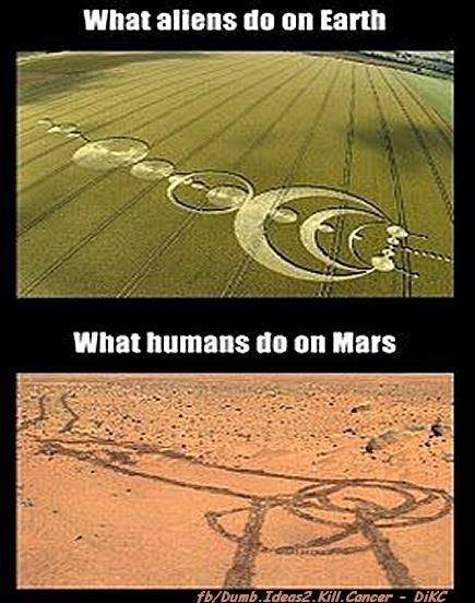 Crop Circles ~ Funny Shot