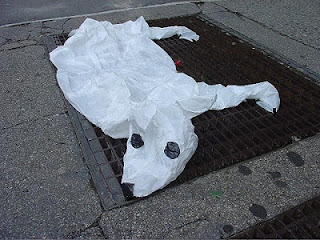 Áine LSAD: Joshua Allen Harris