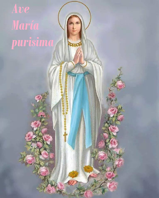 El Camino: Novena a Nuestra Señora de Lourdes El Camino: Novena a Nuestra Señora de Lourdes