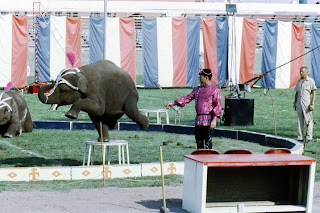 The Circus "NO SPIN ZONE": The Cossack Elephants--Bucky Steele and Gee ...
