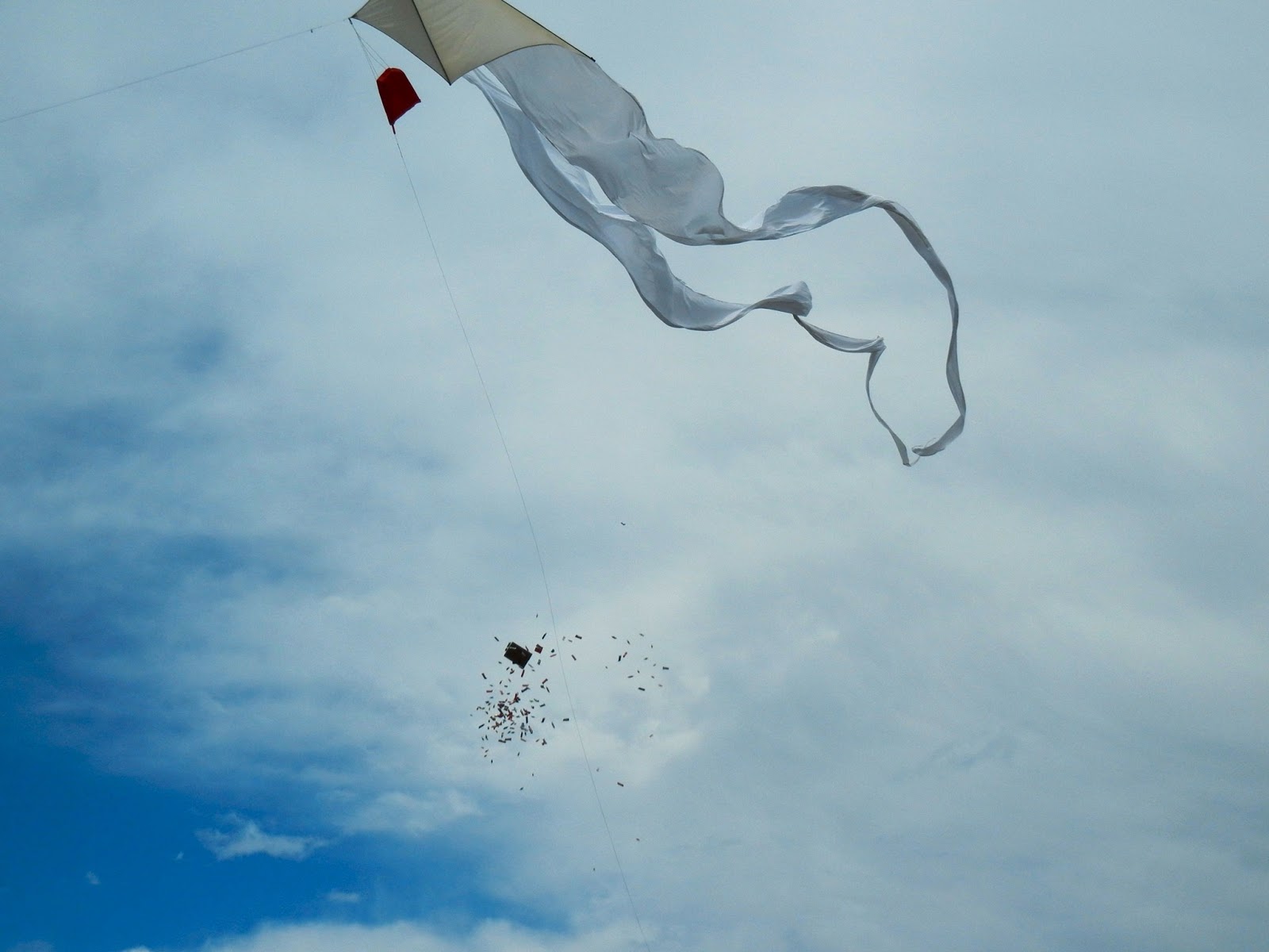 You Don't Look Sick - Living with Rheumatoid Arthritis: FLYING AS HIGH ...