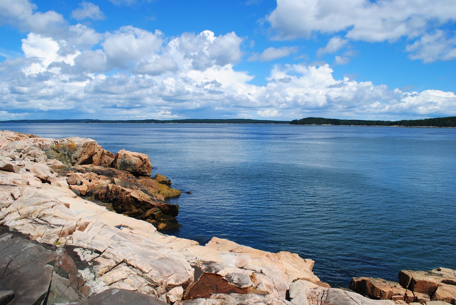 Field Notes and Photos: Maine Coastal Landscapes