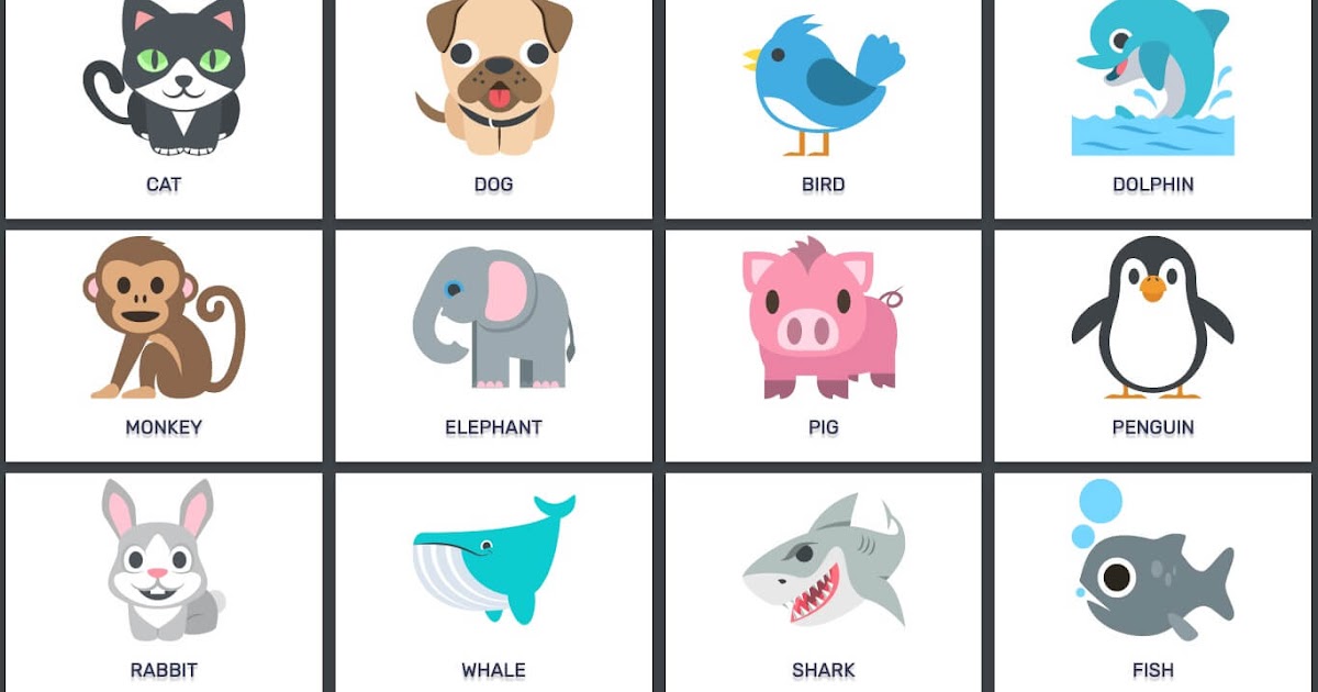 English 4 all: ¿Qué animales conocemos?