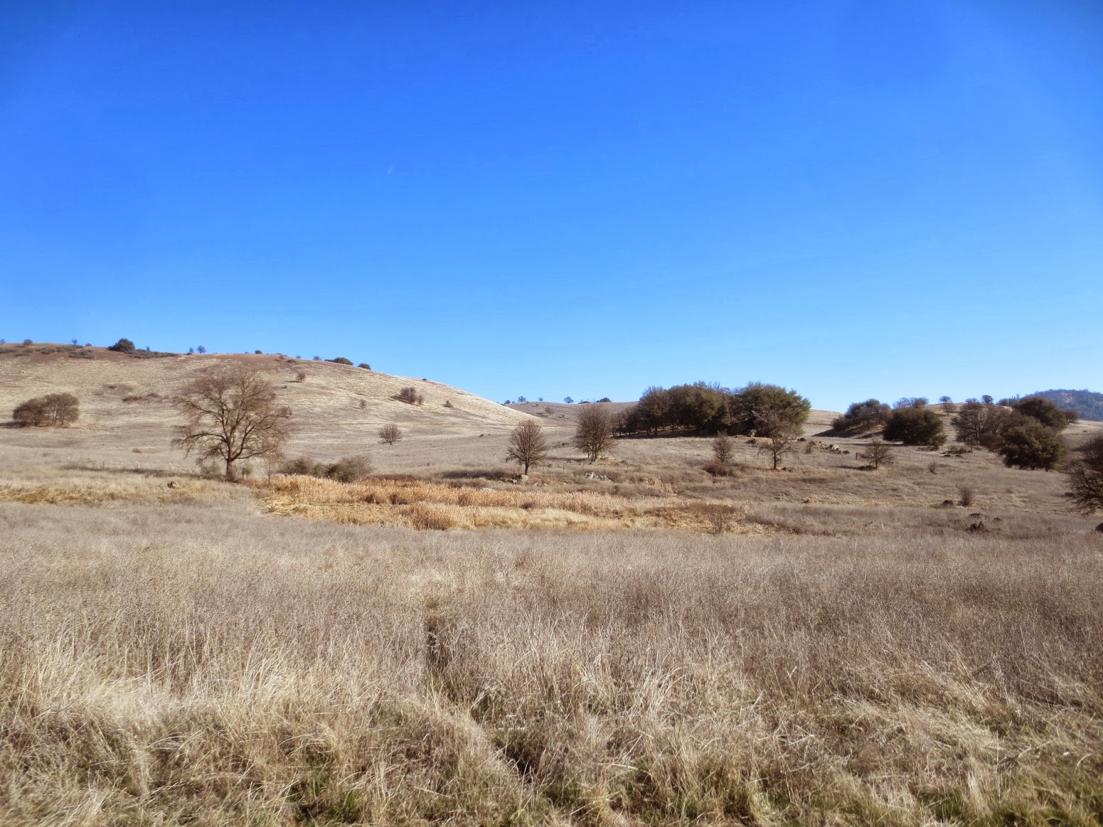 The Manly Dad: Adventures of a Stay at Home Dad: Cronan Ranch Regional ...