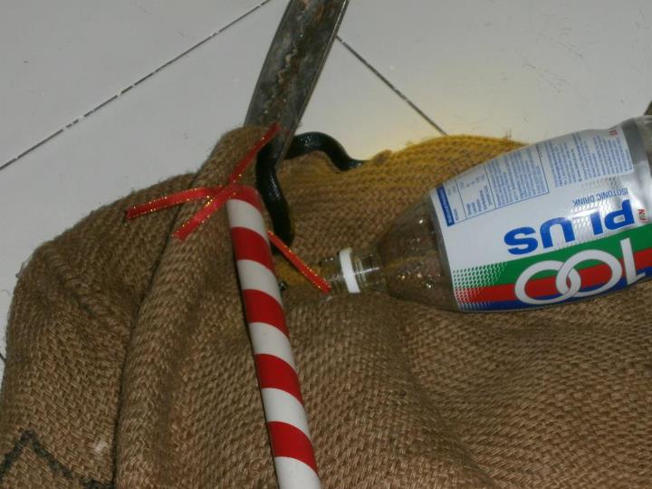 Bomba Sukarela Sri Tanjung Pulau Pinang: Tangkap Ular Lebuh Relau