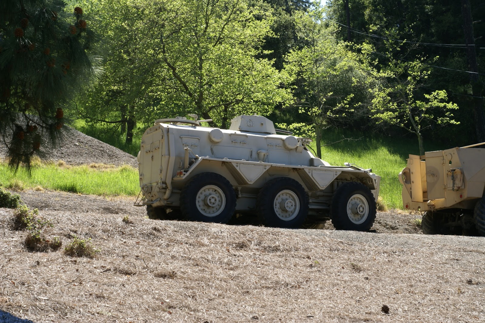 My Little World Of Dementia: Littlefield Tank Collection Part Four