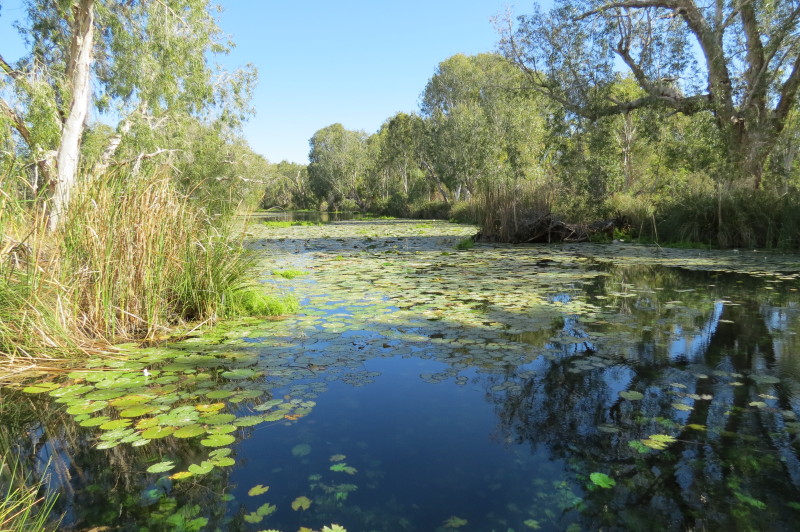 The Travelling Novocastrians: MILLSTREAM CHICHESTER NATIONAL PARK WA