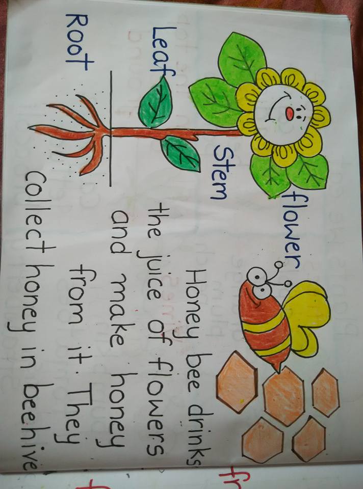 Dr. Deepti Rohan Rastogi: concept web 1: Plants