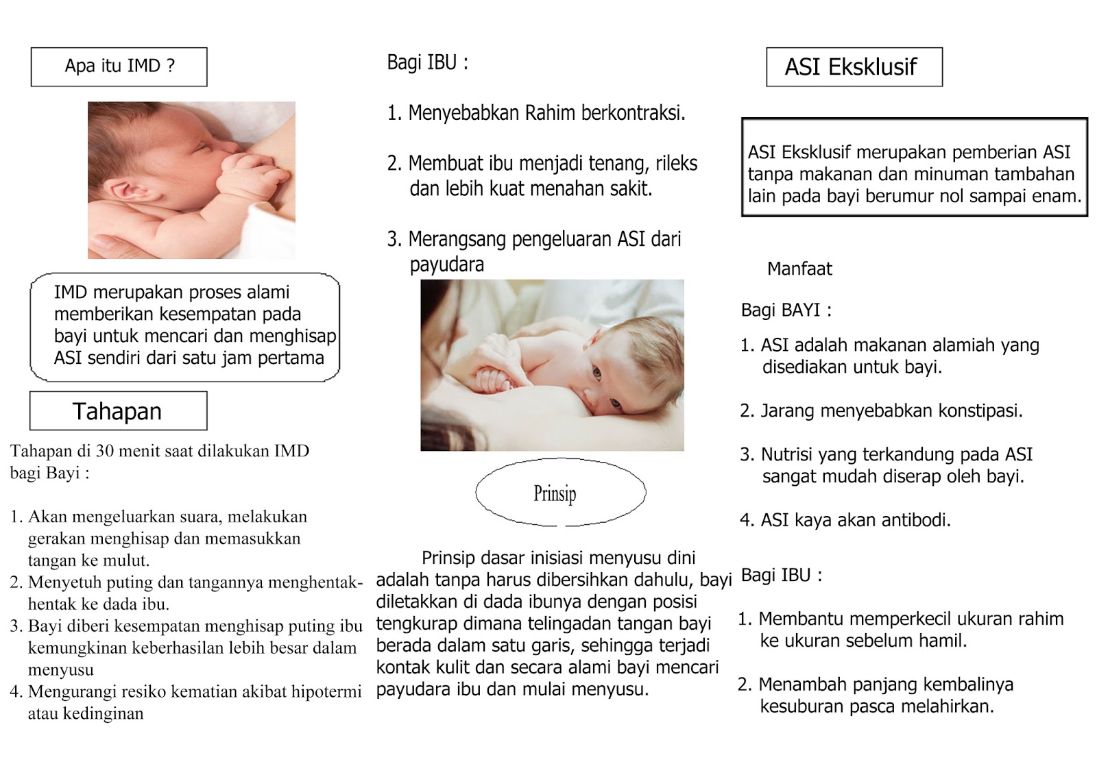 Midwifery: Leaflet IMD dan ASI Eksklusif