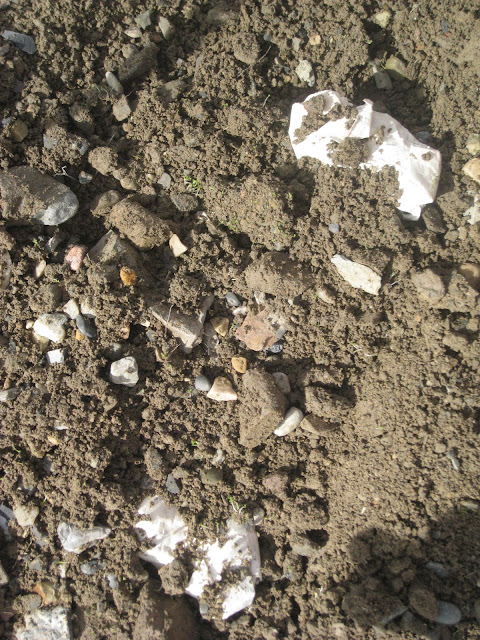 Paleontology for Kids- Digging Up Dinosaur Bones - Teach Beside Me