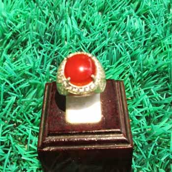 Harga Batu Red Raflesia Bengkulu