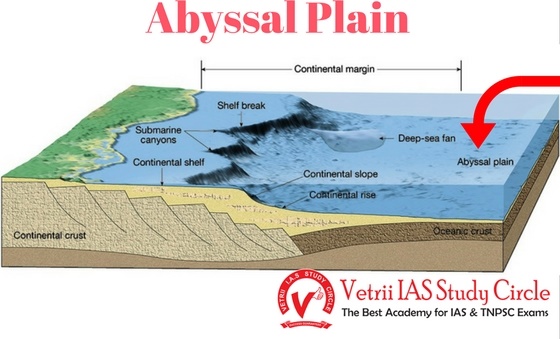 THE RELIEF OF THE OCEAN BASINS - UPSC - TNPSC General Knowledge