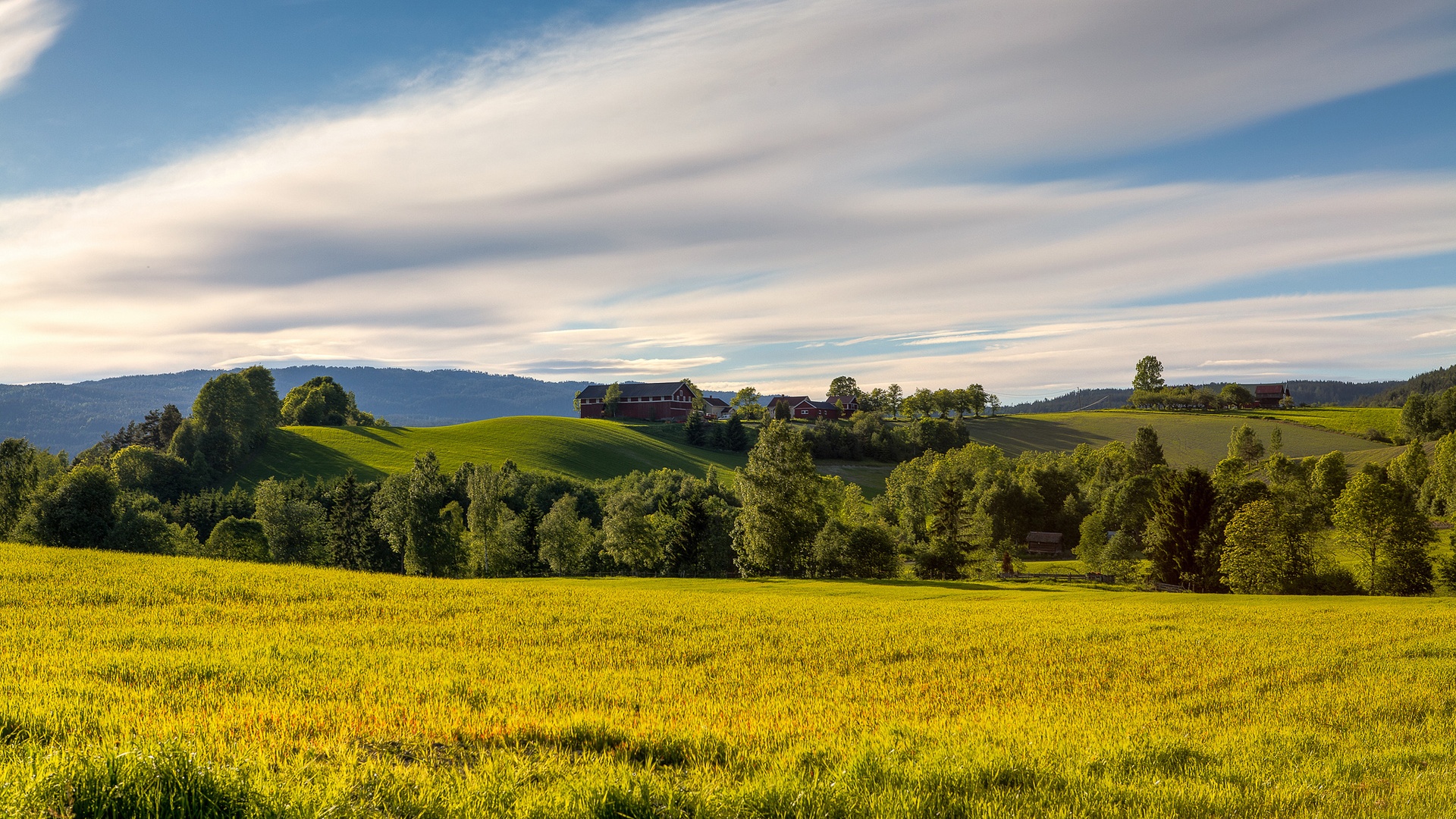 Norway Summer Fields Meadow Trees Hills Sky - High Definition ...