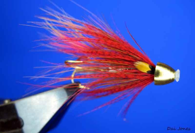 daijones flies: Elvers and toucans