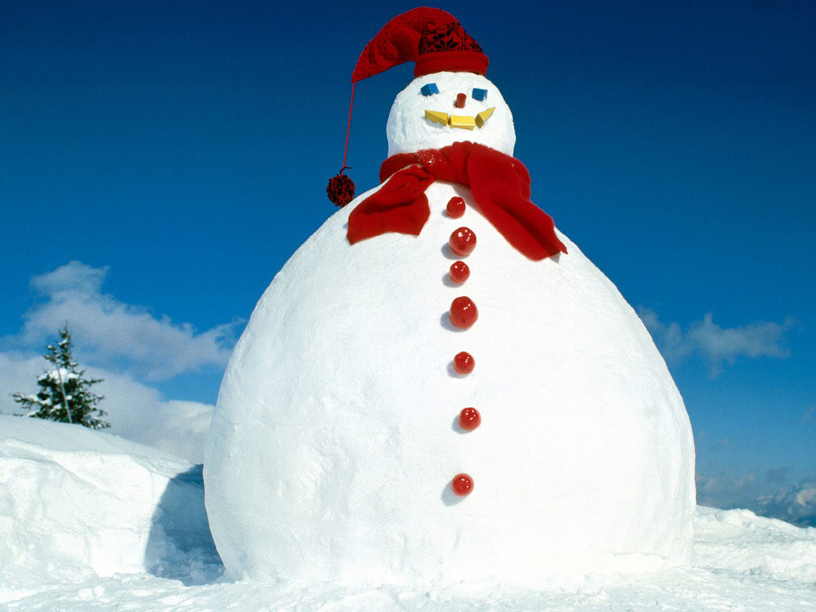 Sneeuwpop Wallpapers