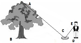 scouts & guides. bsg: ESTIMATION