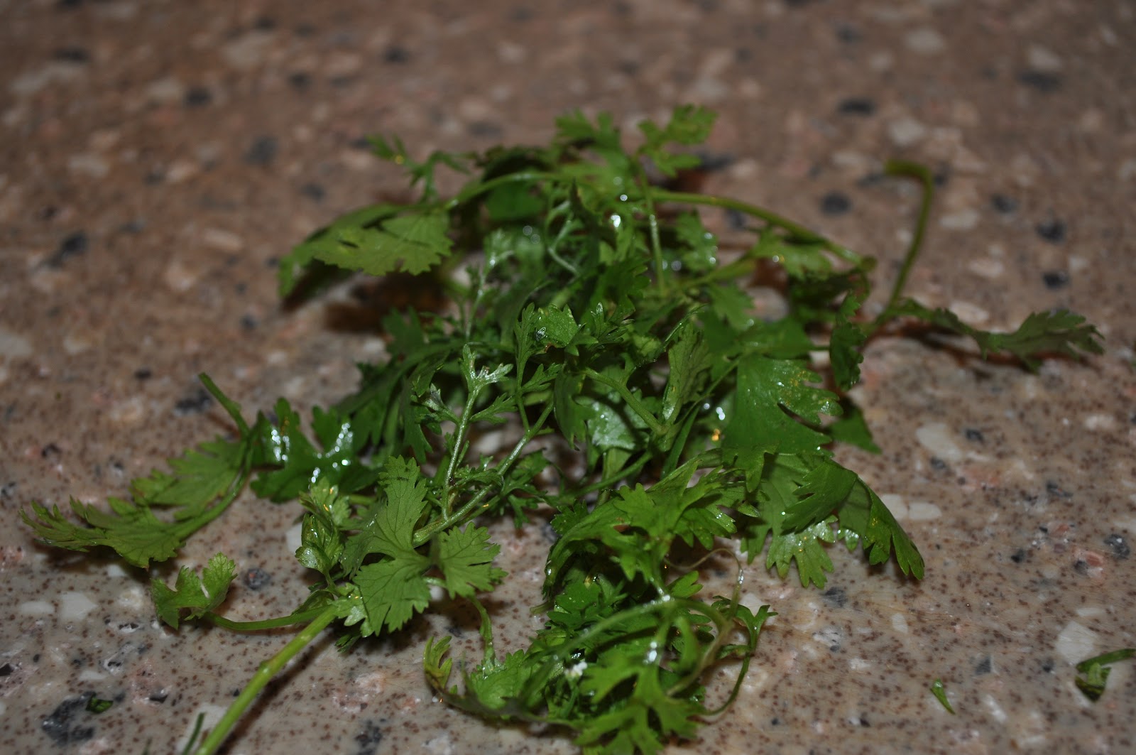 Grassy Branch Farm: Basil & Cilantro - my favorite garden fresh herbs!