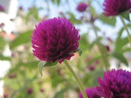 Travel Blog, Nepal Travel Information, Nepal One Tours & Travels ...