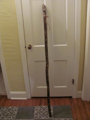 Hidden Treasures: 12 Interesting Facts about Walking Sticks