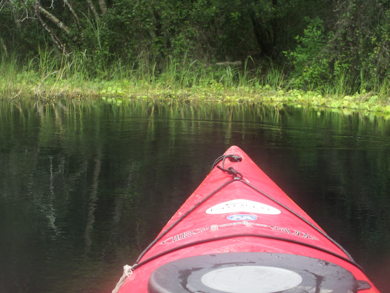 Dave's Yak Tales: Gum Slough
