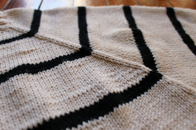 four square walls: spring robin