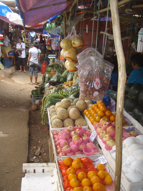 Log of the Katie Lee: Coron Market and Molong