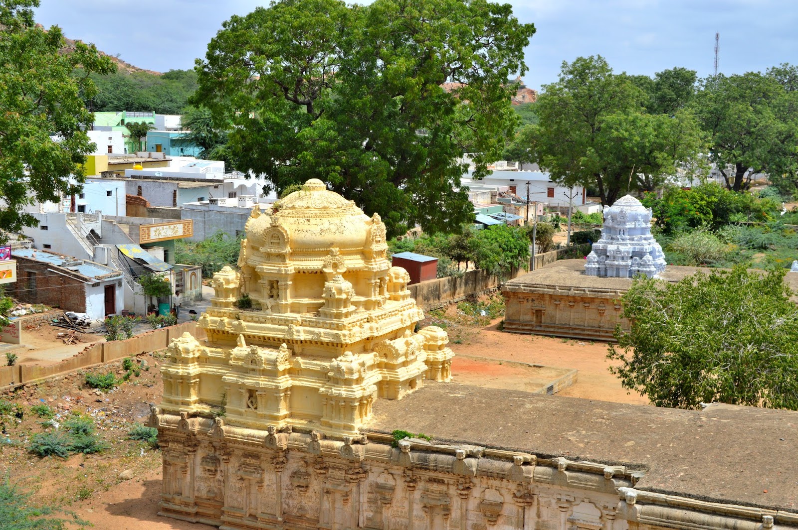 Xesca's Travels: Penukonda: enjoying the company of a giant and the ...