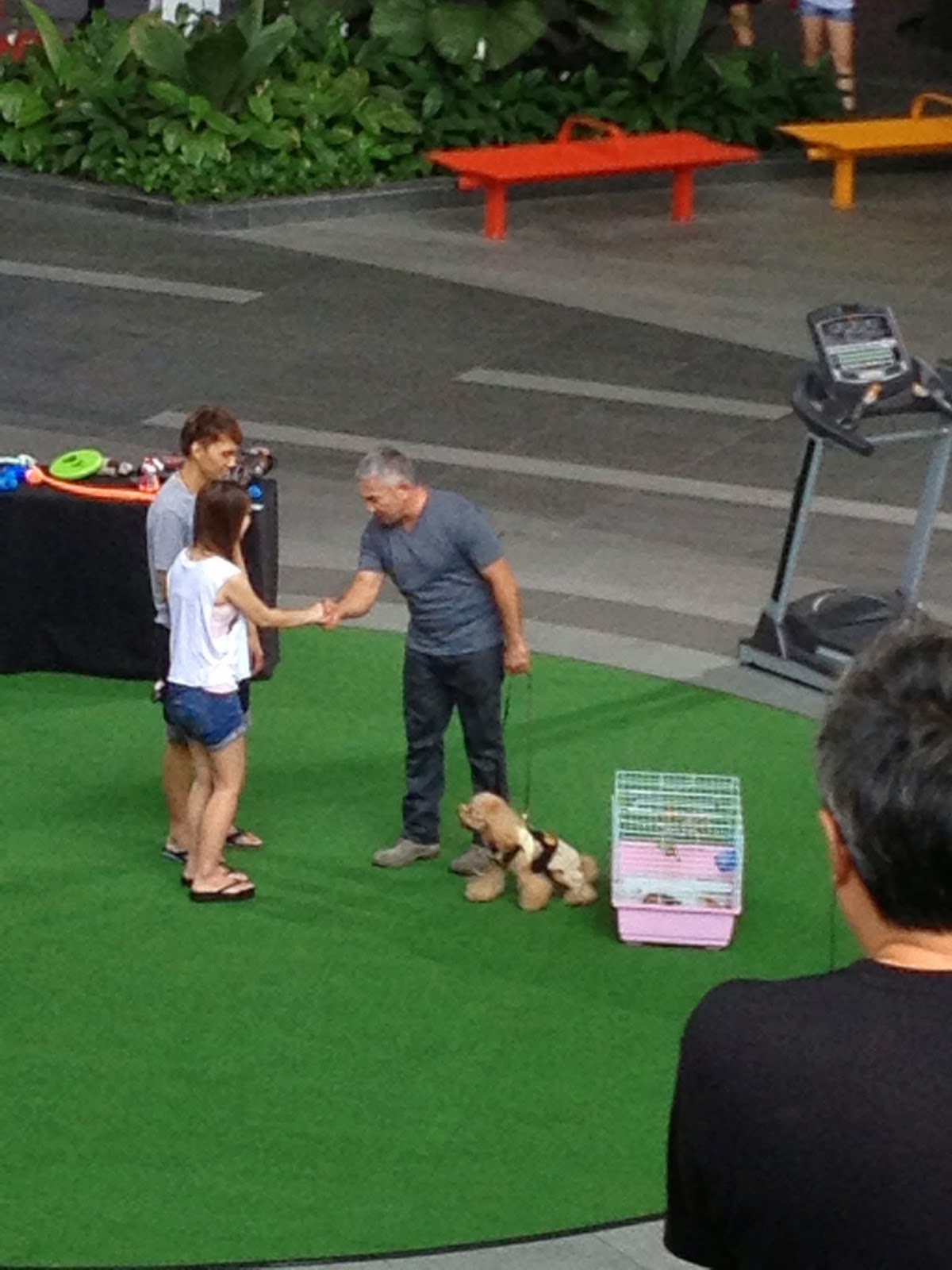 Cesar Milan live in Singapore 2014 | Mobile Dog Stylists - Pet Grooming ...