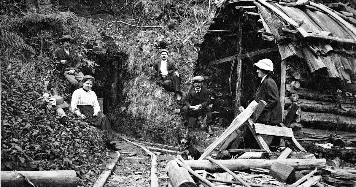 East-Gippsland Birds: The Haunted Stream (Stirling)