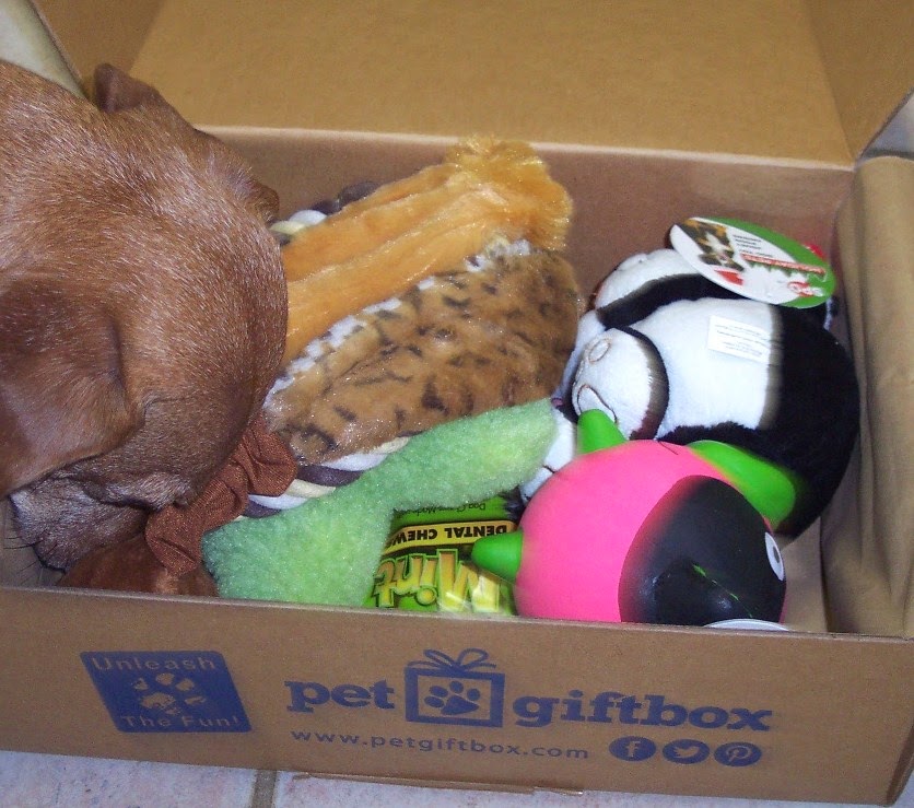 Lone Star Shopper: Pet Gift Box Review, December 2014 + FREE First Box ...