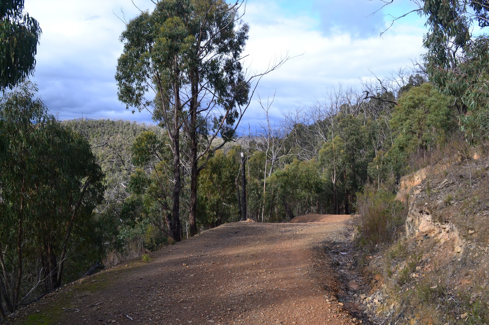 Goin' Feral One Day At A Time: Mt Everard Circuit, Kinglake National ...