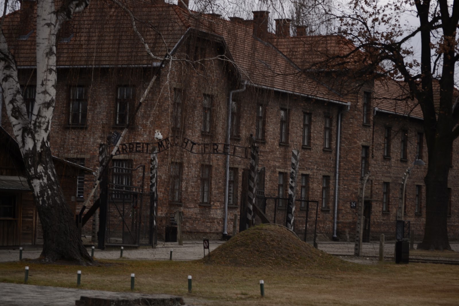 La estenopeica del siglo XXI: Mi visita a Auswitch