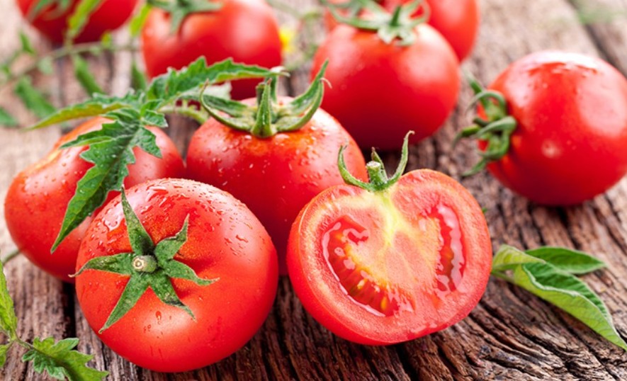 Gazda Praktikum: A paradicsom...