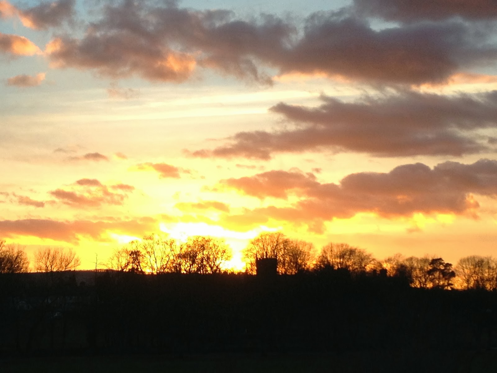 What is your best driving view?