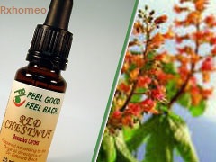 Rxhomeo,inc: General Homeopathy - Bach Flower Remedies - Red Chestnut ...