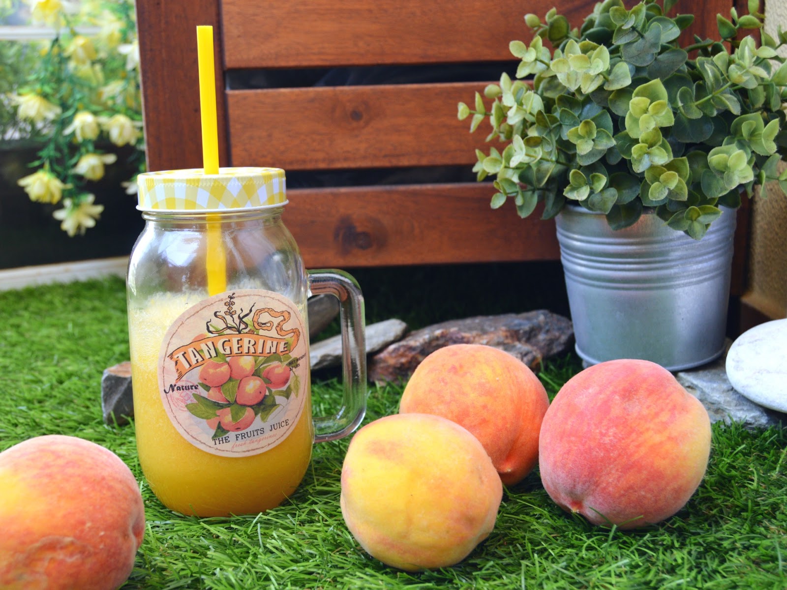 Chika Chik by Ângela Machado: Sumo natural de pêssego