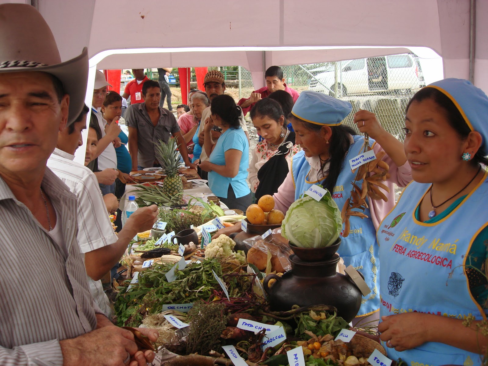 COORDINADORA ECUATORIANA DE AGROECOLOGIA: Para GAD Parroquial Dayuma