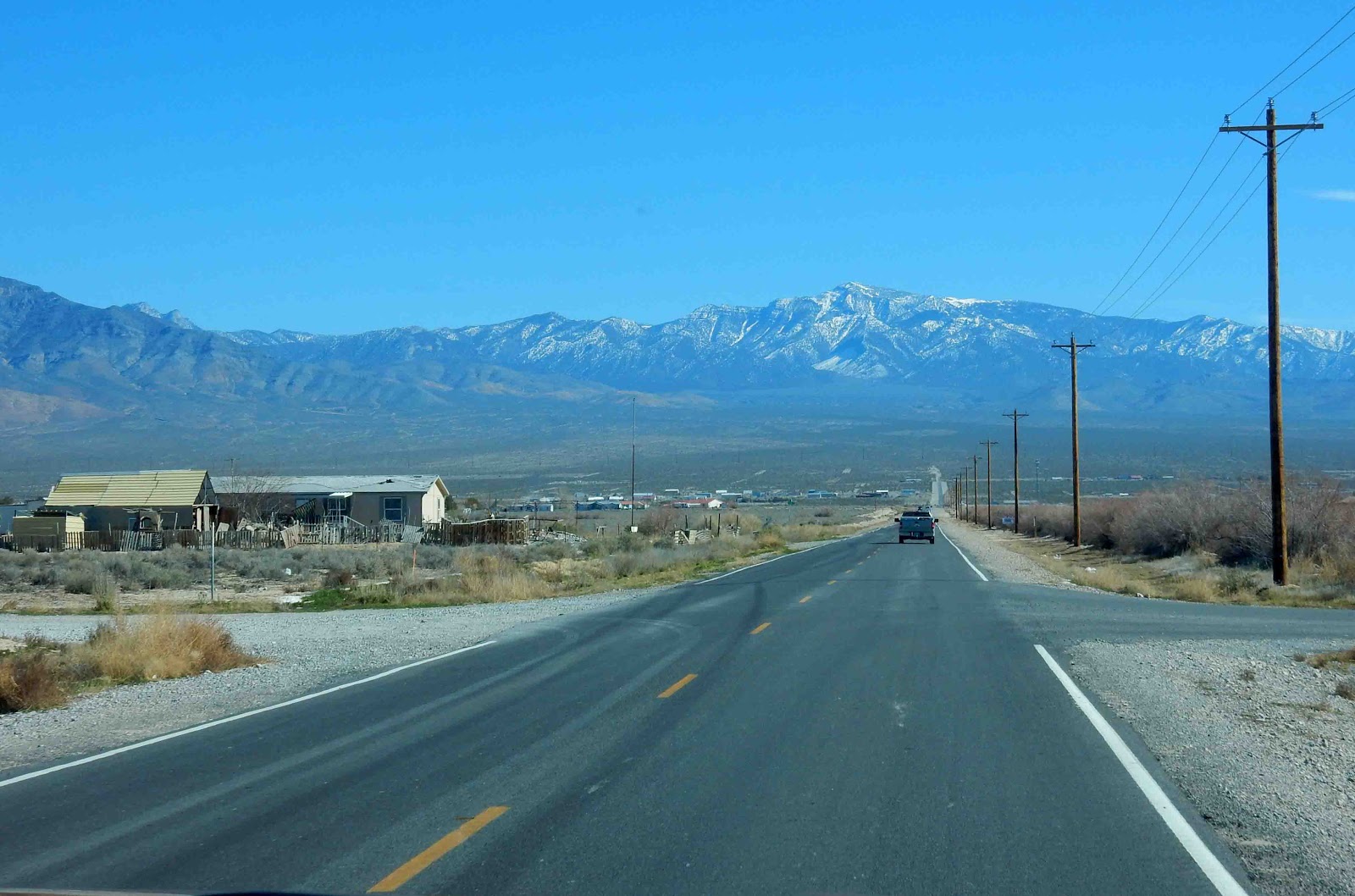 Cat Patches: Pahrump, Nevada