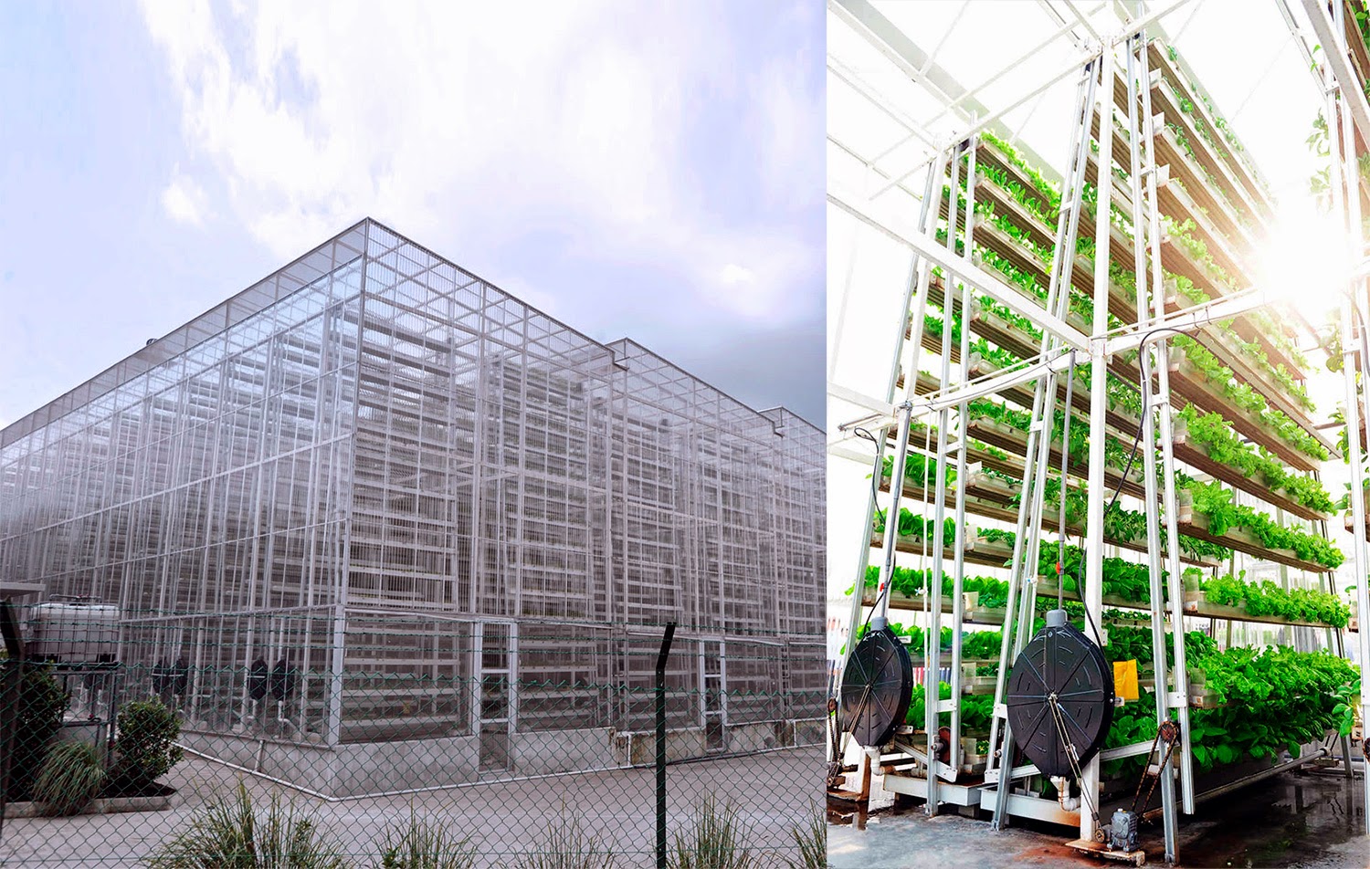 La naturaleza en casa: Granjas verticales existentes