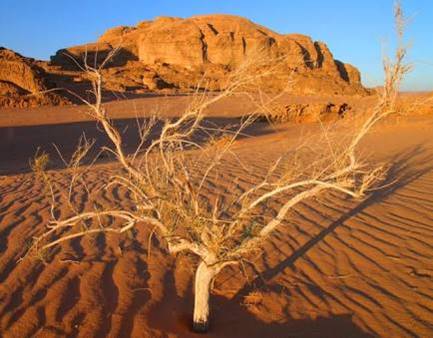 Erozyon | BİYOLOJİ OKULU