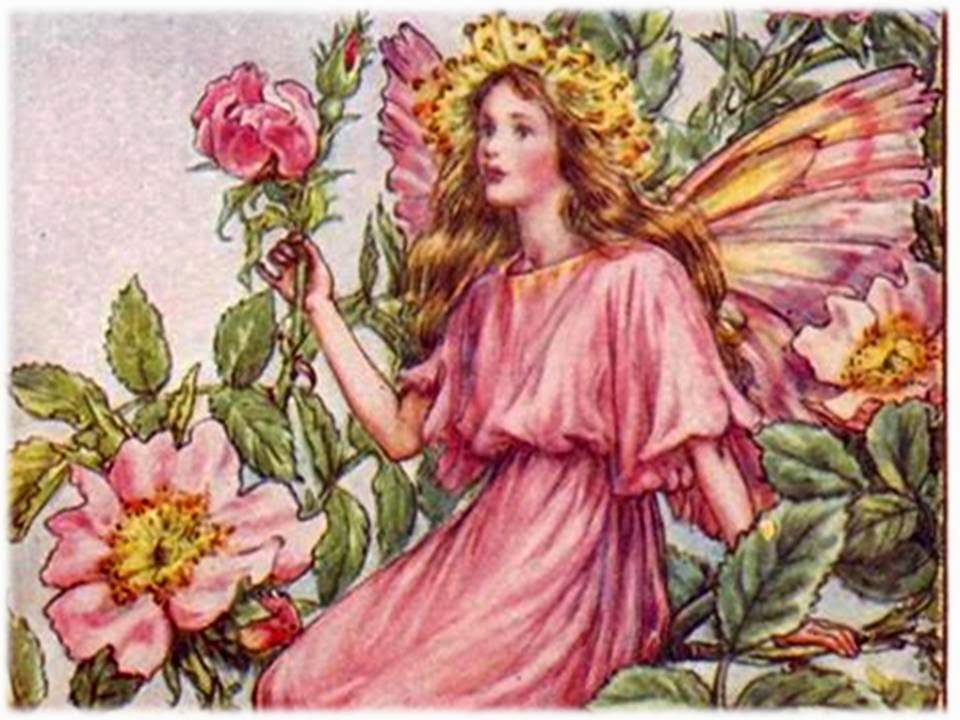 GOTHIKAS, WICCAS, BRUJAS Y MAGAS: LAS HADAS Y SU RELACIÓN CON LAS FLORES