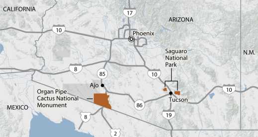 Travels About the West: Ajo Mountain Road